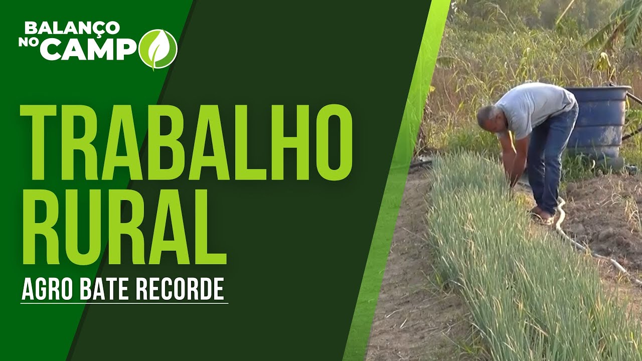 NÚMERO DE PESSOAS TRABALHANDO NO AGRO BATE NOVO RECORDE | Rede Mais